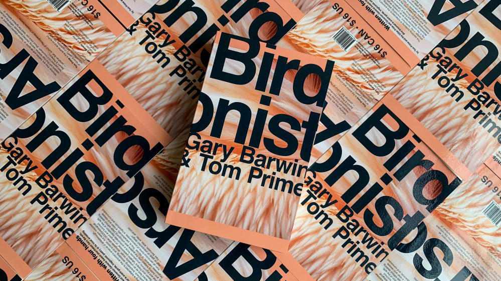 Available Now :: Bird Arsonist by Gary Barwin & Tom Prime | New Star ...
